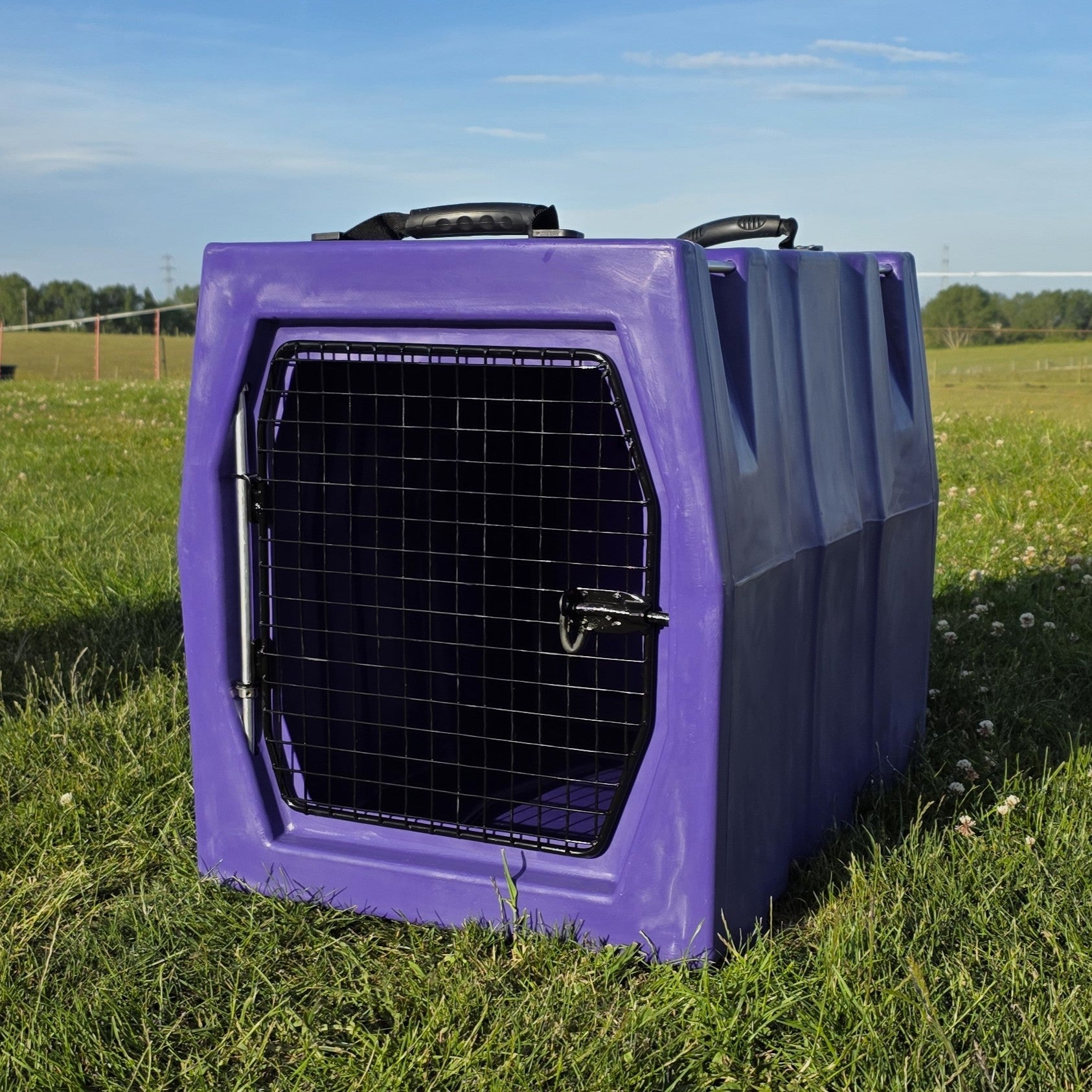 MATE CRATE- Small – Rotaplas